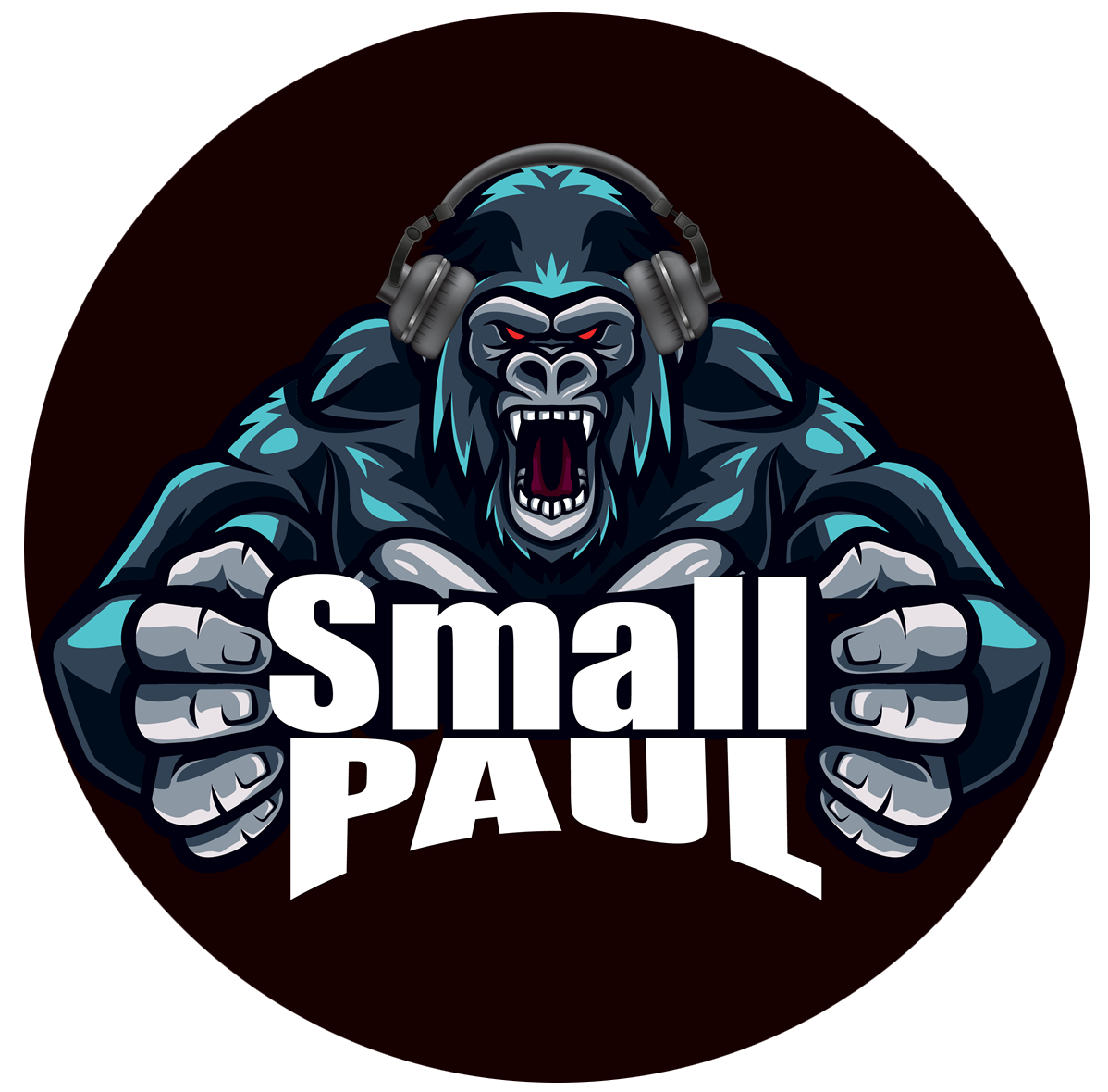 Small Paul DJ | Sharing my musical journey - Buckle up and enjoy the ride